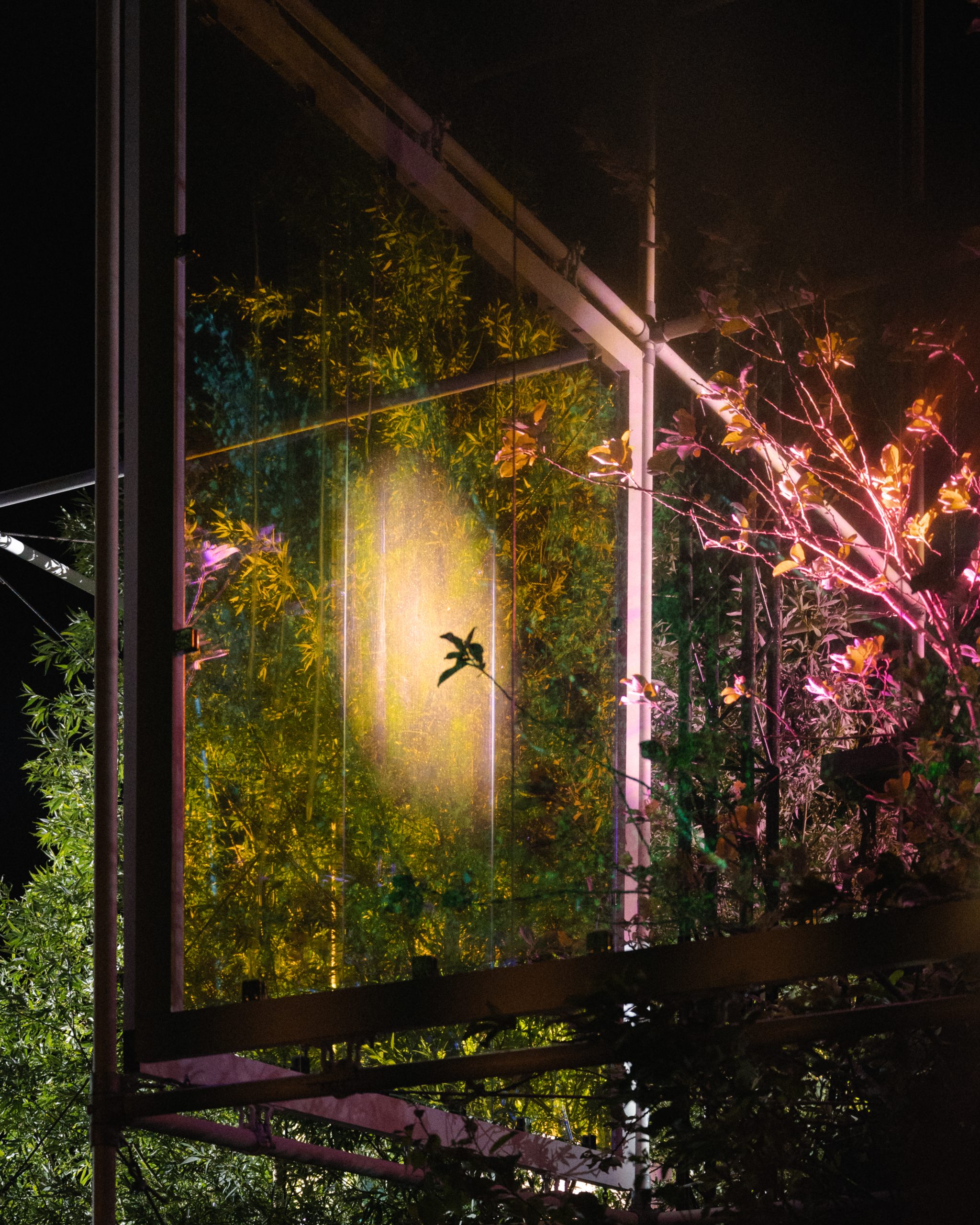 The SUN stage: “The bright light and colorful streams of rainbow light ...